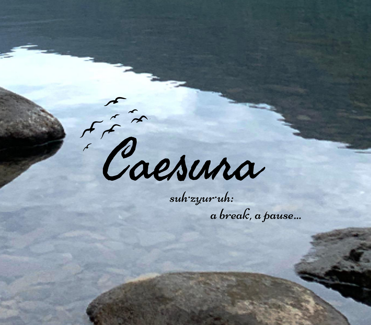 Products – Caesura Studio